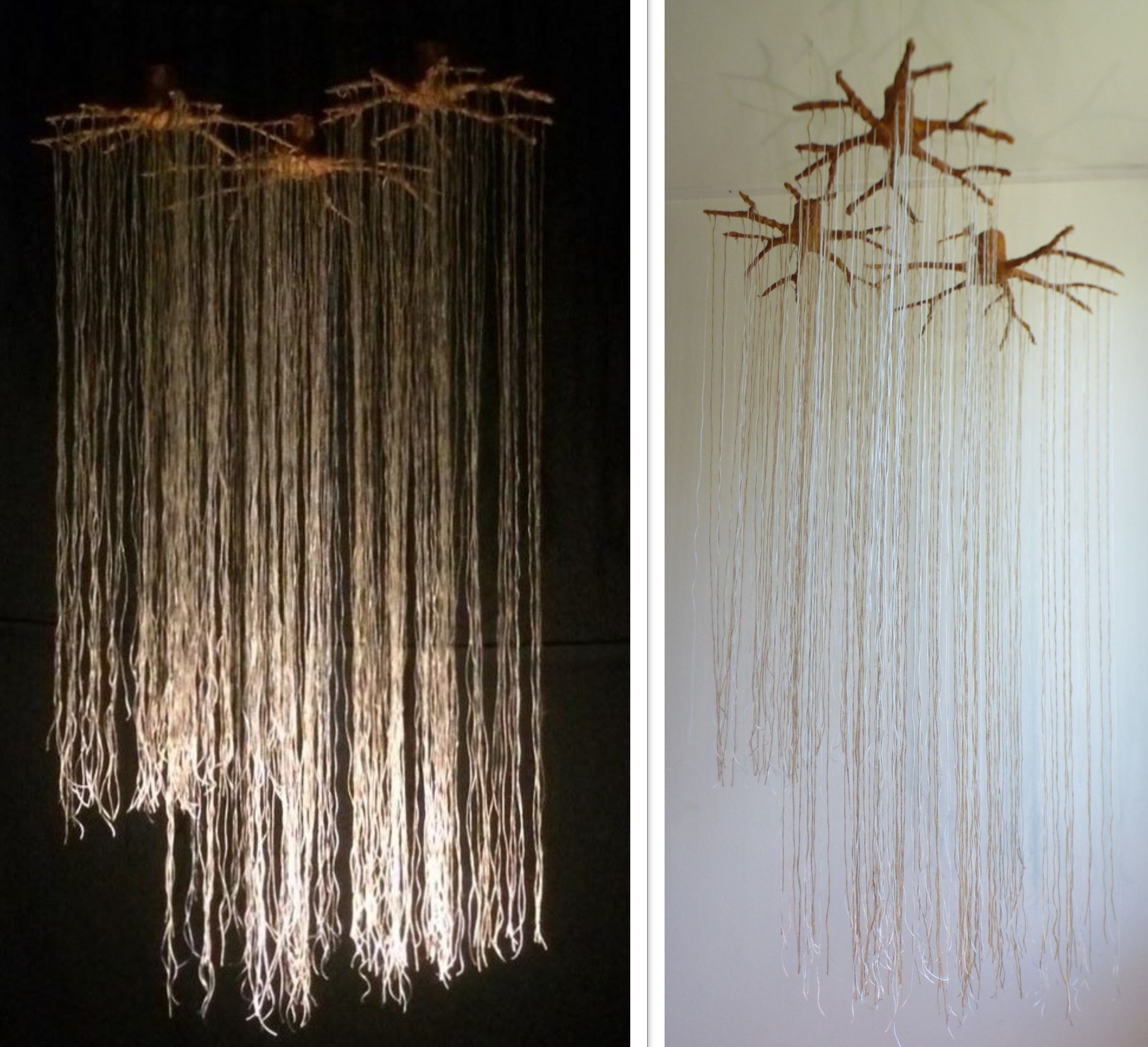 Geworteld - Bart Ensing Nature art