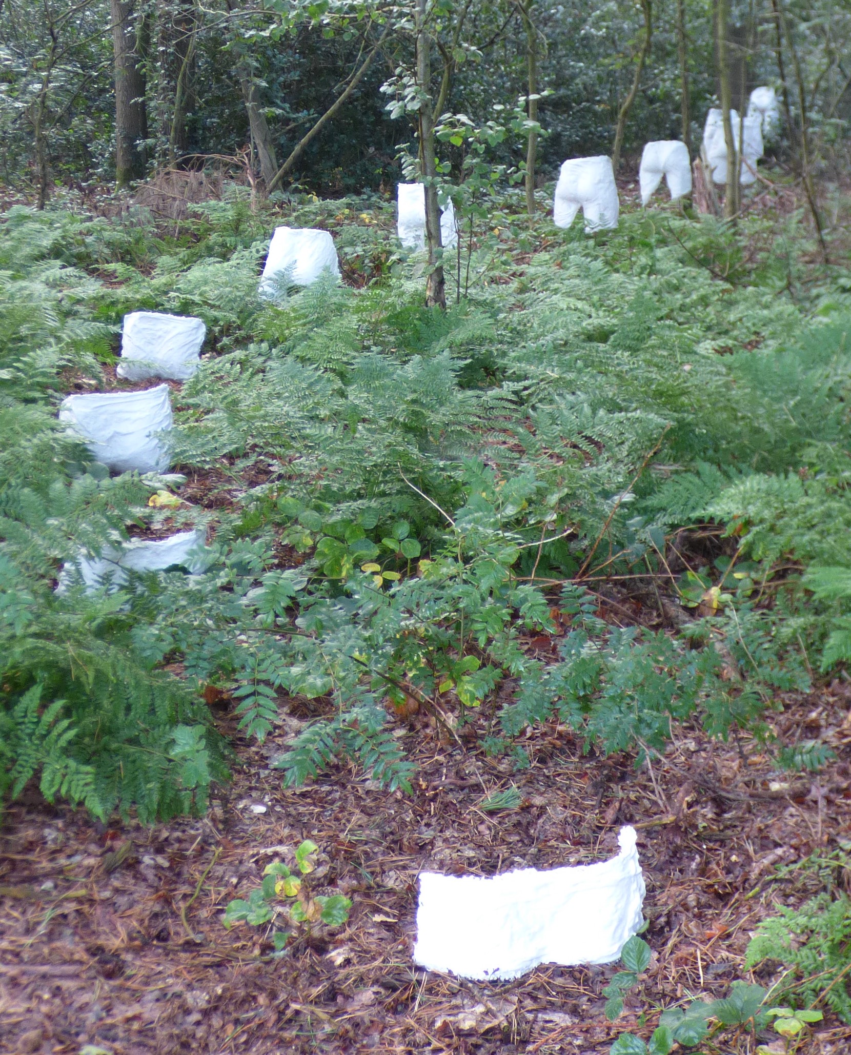 Appearing and disappearing - Bart Ensing Nature art