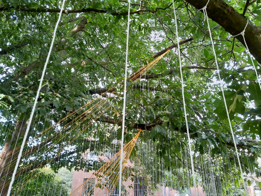 Verbinding (Kunstsmullen) - Bart Ensing Nature art