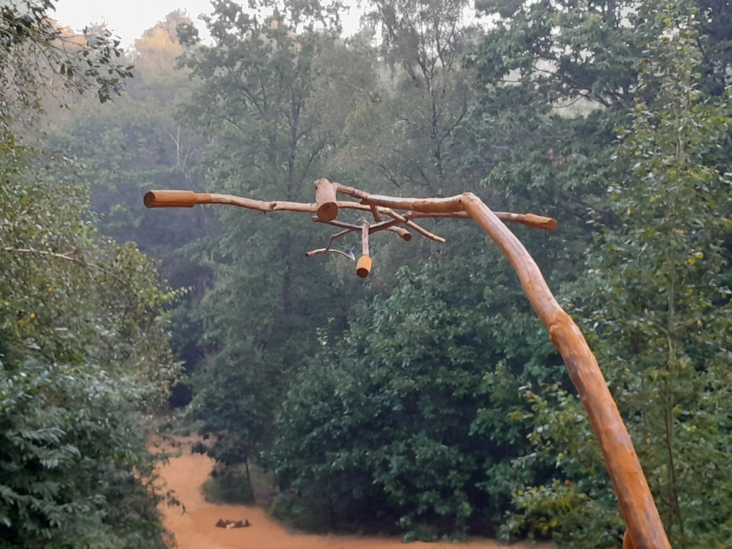 Balans - Bart Ensing Nature art